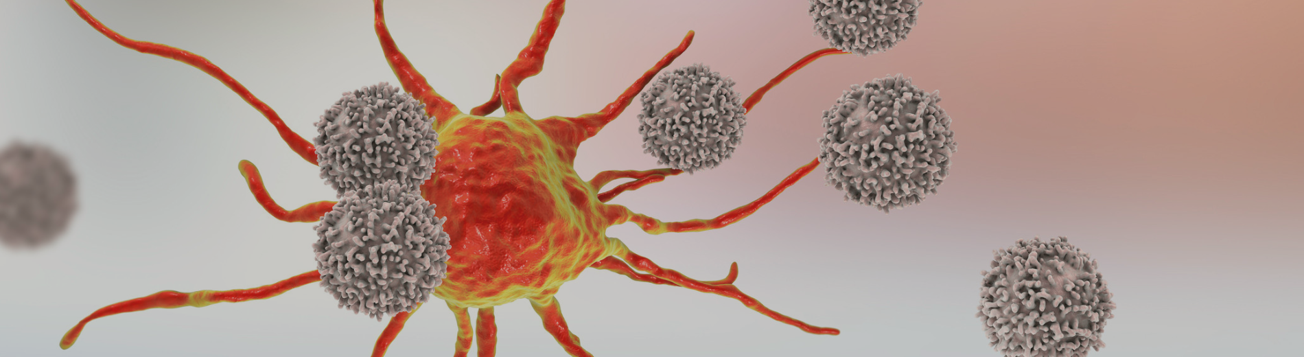 8th EULAR Course on Immunology 2025 | EULAR